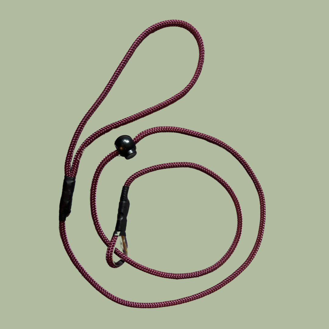 5mm Rope Slip Lead – Fur & Field